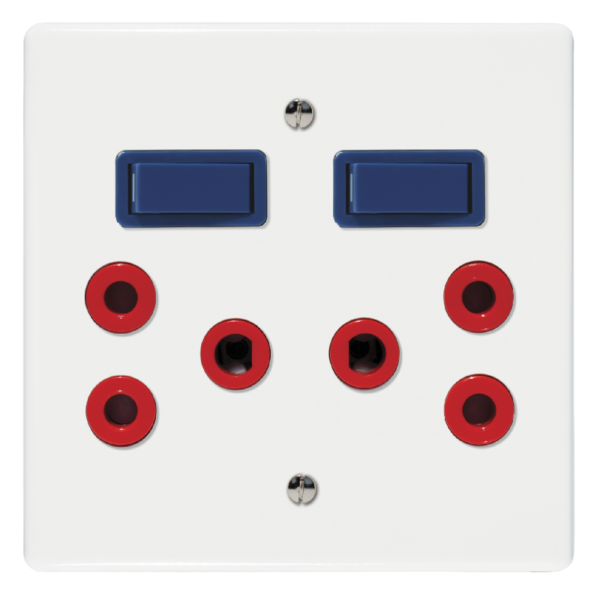 Classic Double Dedicated Socket 164-4 Red Switched Blue on 4x4 Yoke ...