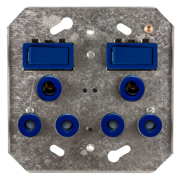 Classic Double Monoblock 164-4 Switched Dedicated Socket on 4x4 Yoke ...
