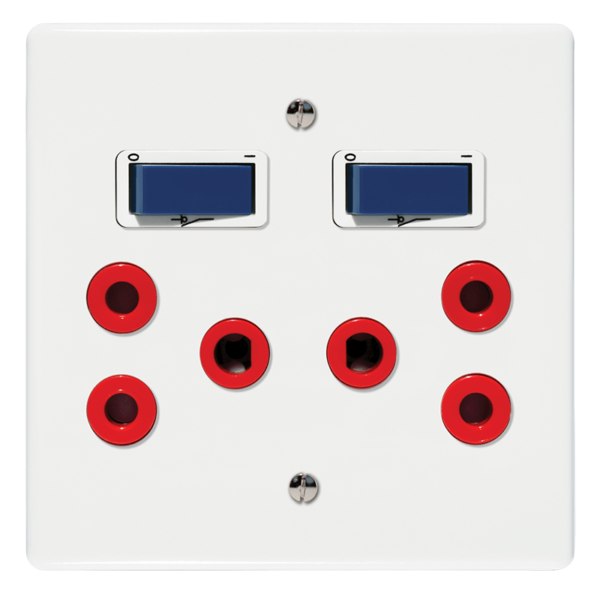 Classic Double Dedicated Socket 164-4 Red Double-Pole Switched Blue on ...